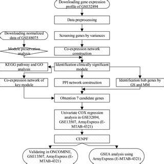 Flowchart Of Data Collection Preparation Processing Analysis And Download Scientific