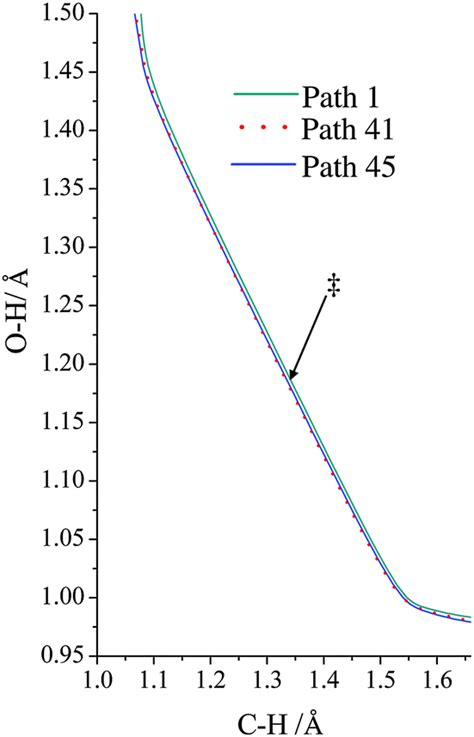 Path Dependent Variational Effects And Multidimensional Tunneling In Multi Path Variational