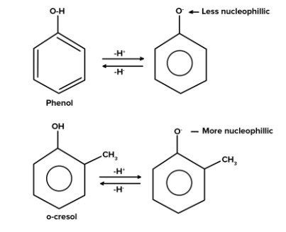 Phenol Phenyl Difference Between Structure Vs Chemical Figure Sketch Coloring Page