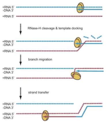 Lecture 6 Flashcards Quizlet Lecture 6 Flashcards Quizlet