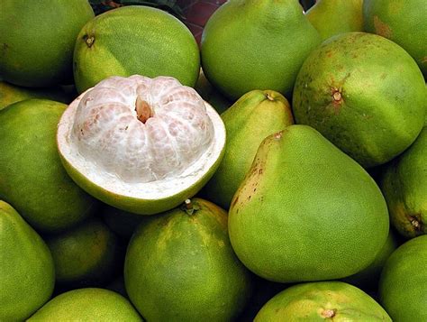 Citrus Maxima Ecured