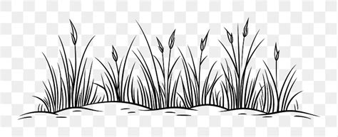 Png Grass Illustrated Drawing Sketch Free Png Rawpixel