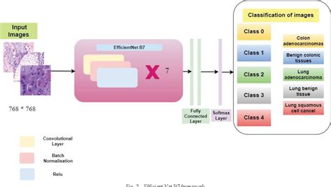 Figure 2 From Colon And Lung Cancer Classification Of Histopathological Images Using