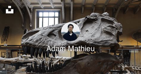 Adam Mathieu Adammathieu Unsplash Photo Community