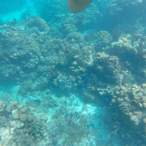 Jonathan Bruce Youtube