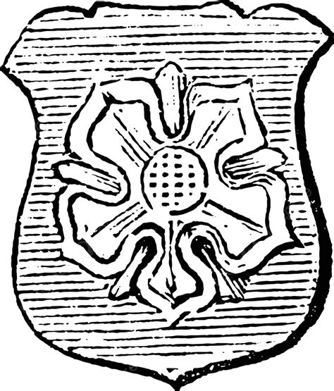 Vintage Engraving Of Roses Showing The Application Of Rose Barbs Vector