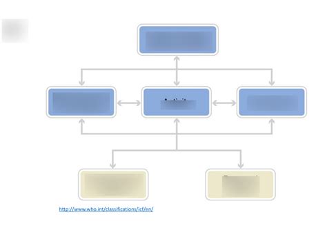 International Classification Of Functioning Disability And Health Diagram Quizlet