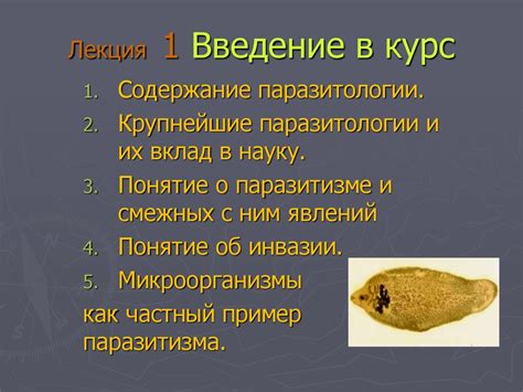 Содержание паразитологии. Введение в курс - презентация онлайн