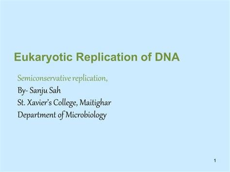 Dna Replication Of Genetic Informationppt