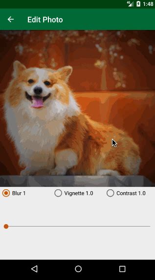 Glide Tutorial For Android Getting Started Kodeco