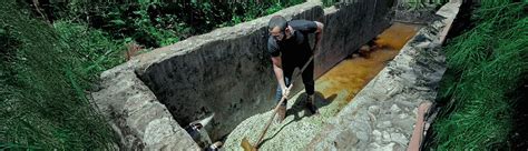 Washed Coffee Processing The Art Of Clean And Bright Flavors Pure Coffee