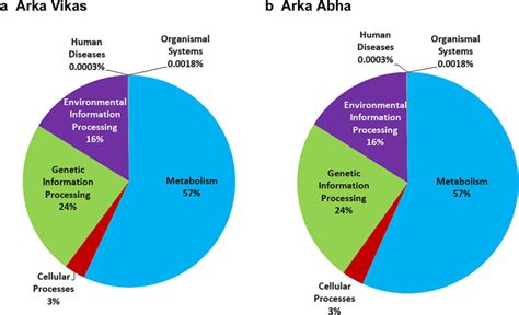 Picrust Based Functional Analysis Based On The Relative Abundance Of