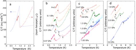 Specific Heat Graph