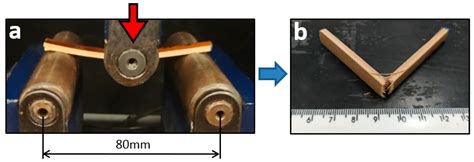 Forests Free Full Text The Flexural Strength Of Three Bamboo Species From Brazil A