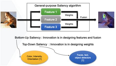 implicit saliency in neural networks — olives