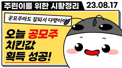 에코프로 반등한 이유 초전도체 앞으로 흐름은 Youtube
