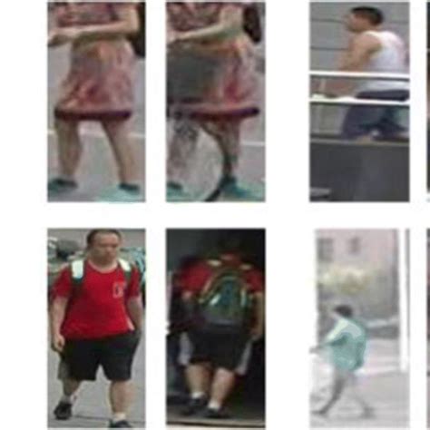 Research Difficulties In Pedestrian Re Identification Download Scientific Diagram
