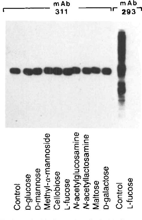Figure 3 From Mutants Of Polysphondylium Pallidum Showing Delayed