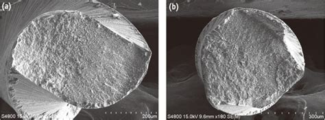 Scanning Electron Micrographs Of Fracture Surface Of Separated