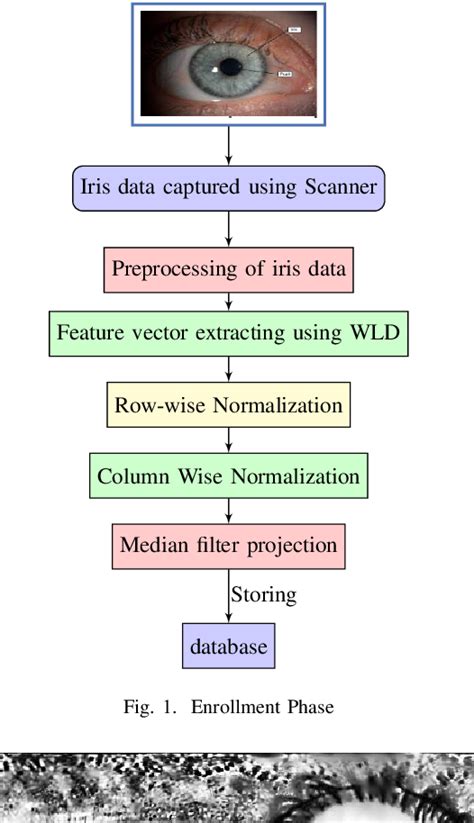 figure 1 from cancelable iris template generation using weber local