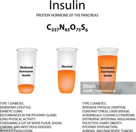 Formula Molekul Kimia Dari Insulin Hormon Hormon Pankreas Mengurangi Dan Meningkatkan Insulin