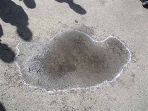 Evaporation Investigation Embsay Ce Primary School