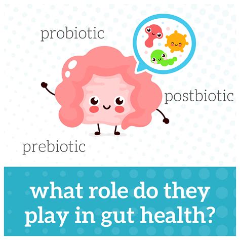 Probiotics Prebiotics Postbiotics What Is The Difference