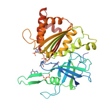 Ferredoxin Nadp Reductase