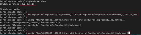 Installing Oracle 19c With RPM On Oracle Linux 9 3