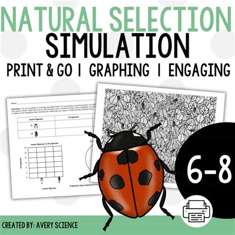 Natural Selection Evolution Simulation Worksheet With Graphing And