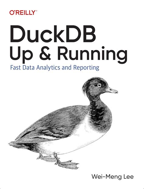 Duckdb Up And Running Fast Data Analytics And Reporting Lee Wei