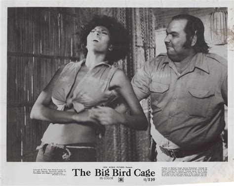 Pam Grier The Big Bird Cage Pam Griers Best Performances Ranked