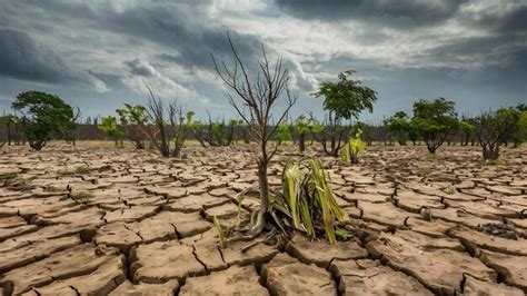 Cambio Climático Con Suelo Seco Foto Premium