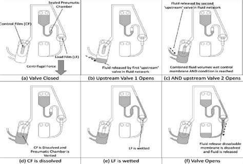 Schematic Demonstrating The Basic Event Triggered Configuration And Download Scientific Diagram