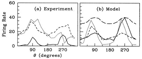 A Neuronal Network Model Of Macaque Primary Visual Cortex V1