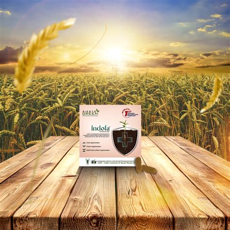 Trichoderma Viride Siestogreen