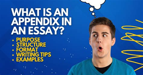 What Is An Appendix In An Essay Structure Format And Examples