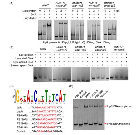 Mlife Lipr——苏云金芽胞杆菌在葡萄糖环境中调控胞内ph值的转录因子 知乎