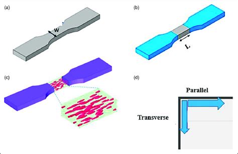 A Homogeneous 3d Printed Sample B Heterogeneous 3d Printed Sample