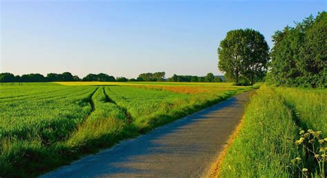 عکس های تابستانی زیبا مخصوص بک گراند لپ تاپ با کیفیت Hd