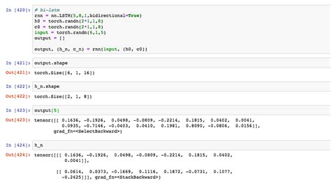 BiLSTM Output Hidden State Mismatch PyTorch Forums