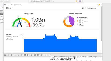 Debugging Is Xcodes Debug Navigator Useless Stack Overflow