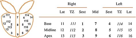 prospective evaluation of an extended 21 core biopsy scheme as initial