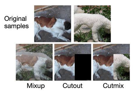 Sample Images Using The Mixup Cutout And Cutmix Augmentation Methods 40 Download