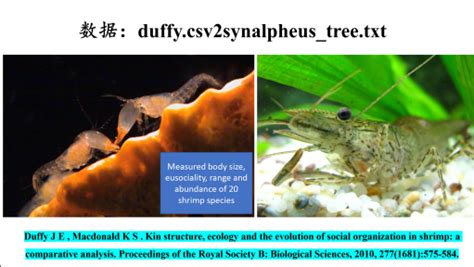 从生态环境数据到高端科研绘图：r语言统计分析与ai技术——回归模型、混合效应、多元统计、结构方程、meta分析与贝叶斯方法等 知乎