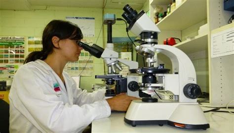 Sesl Seeking Lab Techs