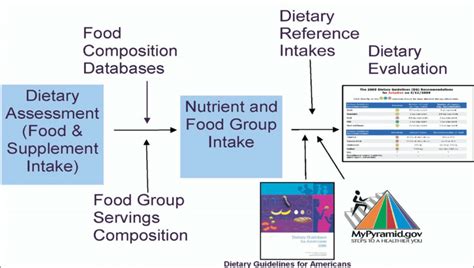 The Dietary Assessment Process Download Scientific Diagram