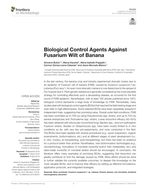 Pdf Biological Control Agents Against Fusarium Wilt Of Banana