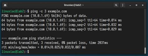 How To Add Static Entries To The Hosts File On Linux