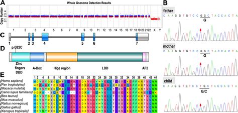 The Sequencing Results And Bioinformatics Analysis Of Mutation Site A Download Scientific